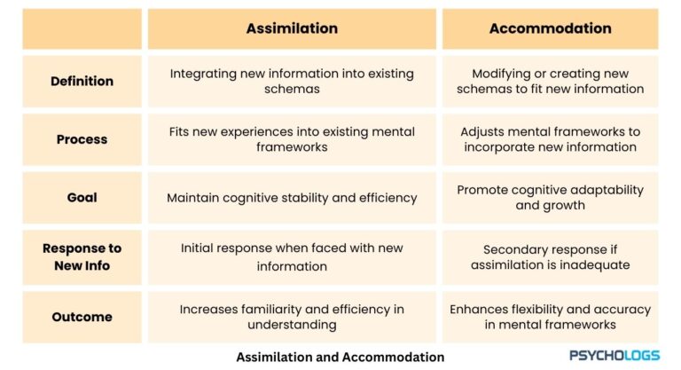 Assimilation and Accommodation