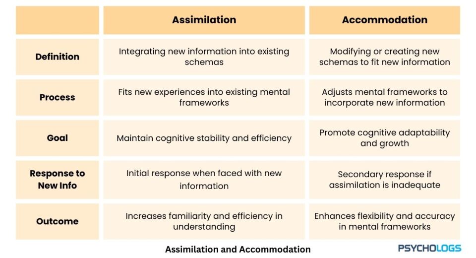 Assimilation and Accommodation - Psychology for everyone