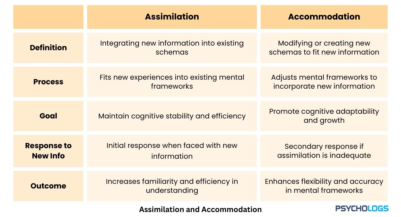 Assimilation and Accommodation