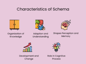 The Role of Schema in Cognitive Development and Its Impact on ...