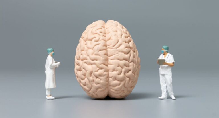 The Role of Schema in Cognitive Development and Its Impact on ...