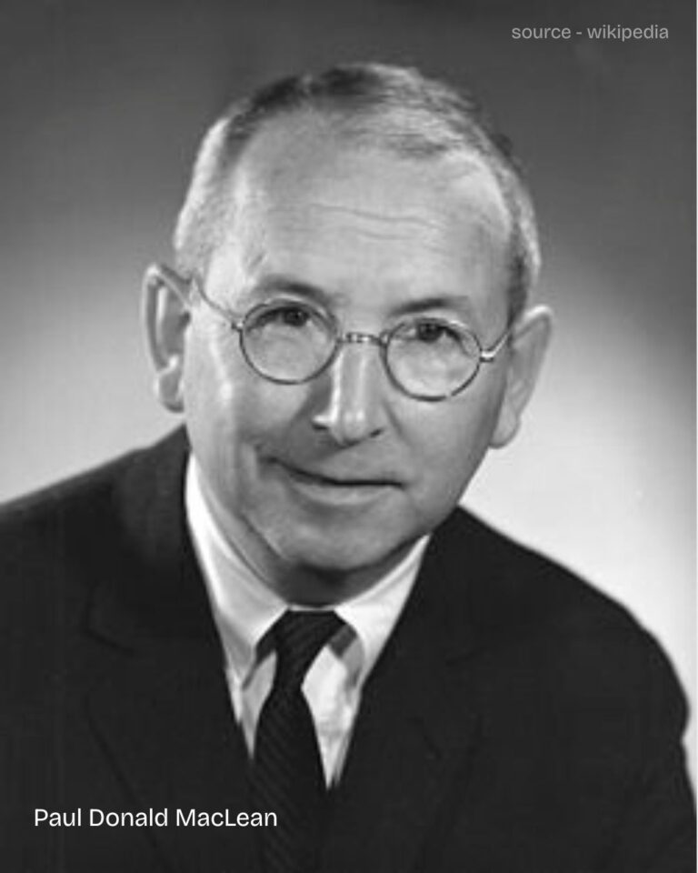 The Role of the Limbic System in Emotion and Behaviour - Psychology for ...