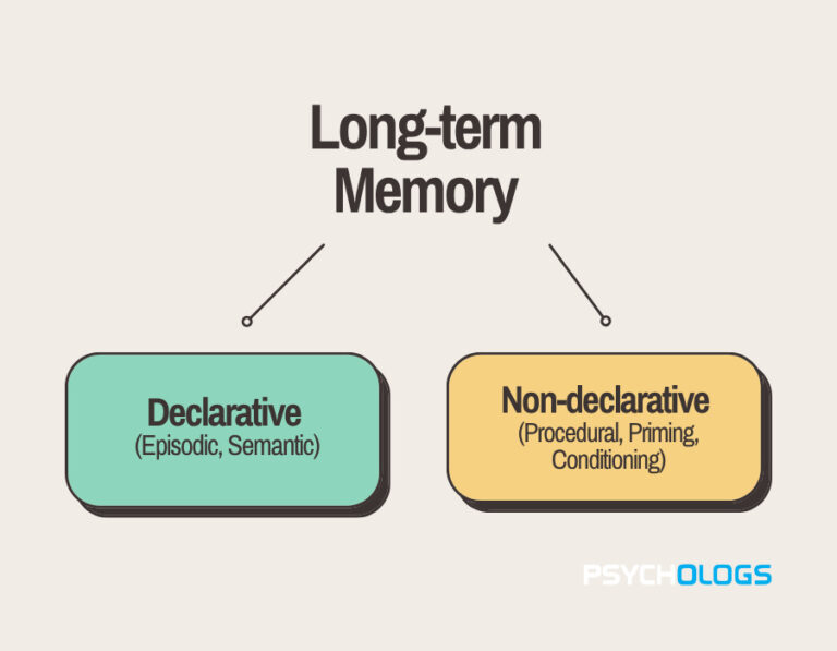 Understanding Semantic Memory